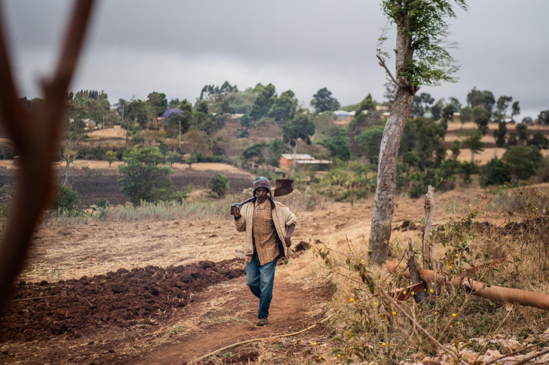 Tanzania Commits to Green Transition - Powers of Africa